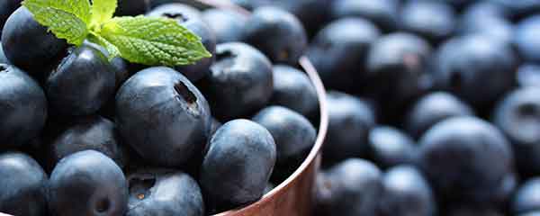 Michigan Blueberries | Crossroads Blueberry Market Grand Haven, MI